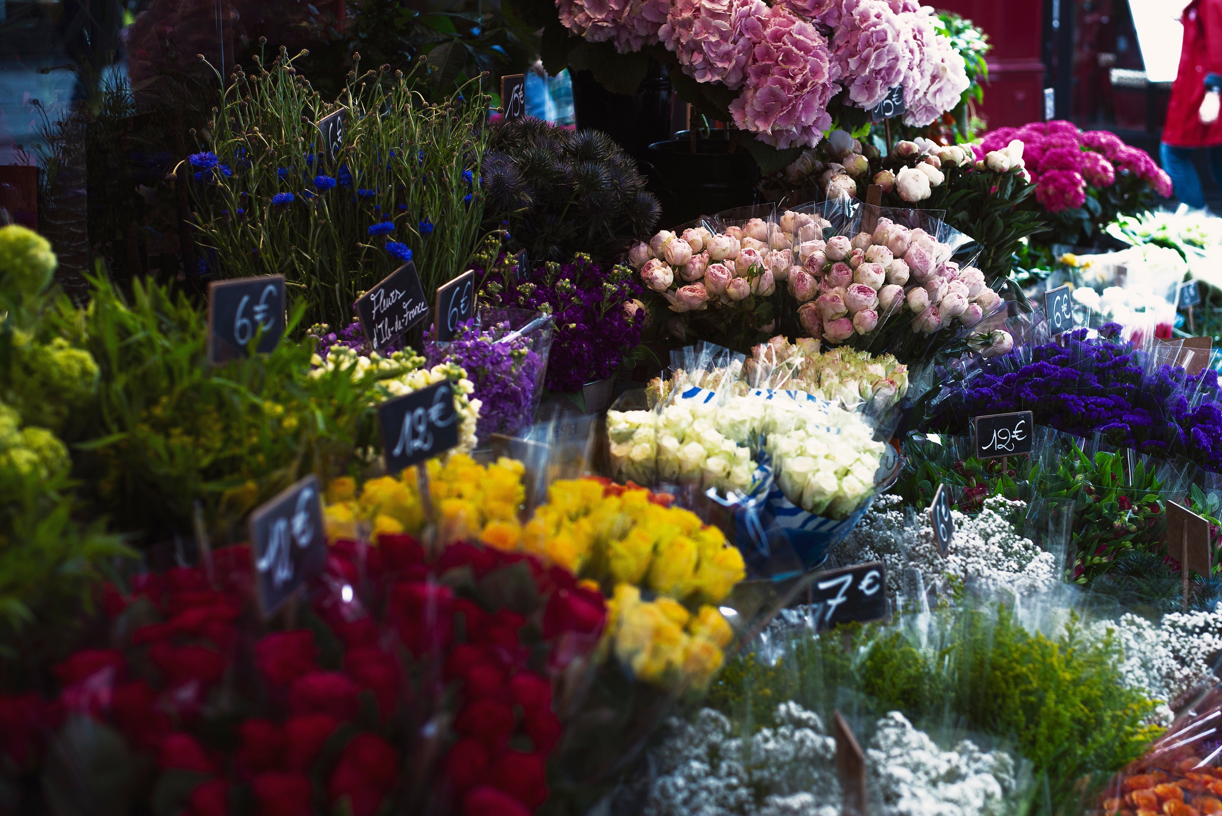 16 Ide Kado Wisuda yang Berkesan dan Murah – Flowers Indonesia